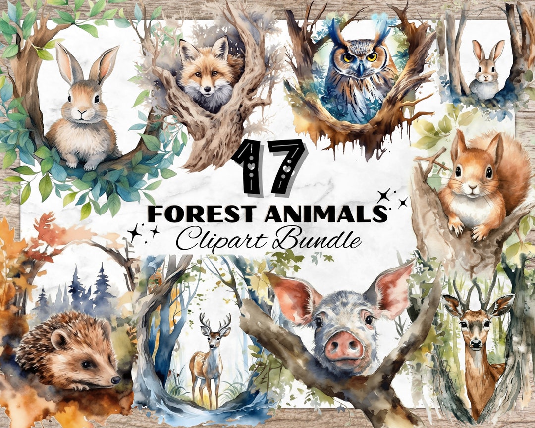 Forest Animals Bundle, Watercolor Clipart PNG, Cute Animal Cliparts ...