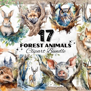 Forest Animals Bundle, Watercolor Clipart PNG, Cute Animal Cliparts ...