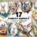 Forest Animals Bundle, Watercolor Clipart PNG, Cute Animal Cliparts ...