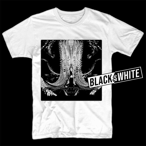 Fractalize Immersion V2 Album Cover Metal Hard Rock Music T - Etsy