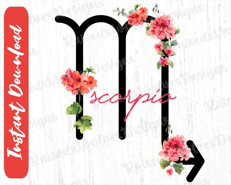 Scorpio Flower PNG Zodiac Digital Clipart Astrology Sign PNG Instant ...