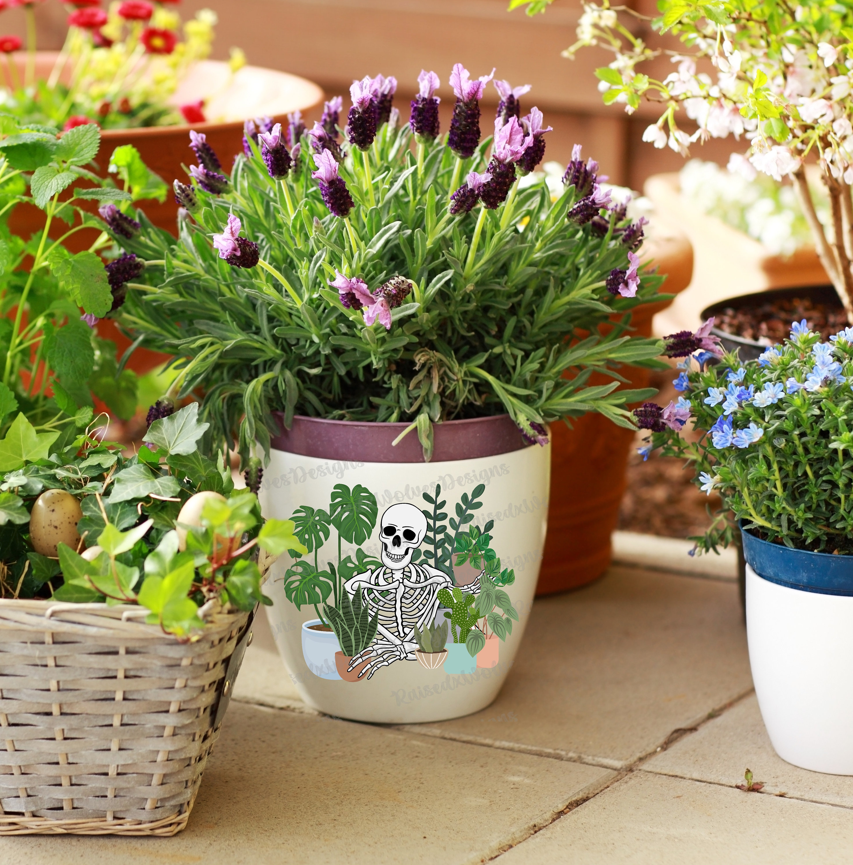 Addicted to Plants PNG | Plant Lover Digital Clipart | Skeleton Plant ...