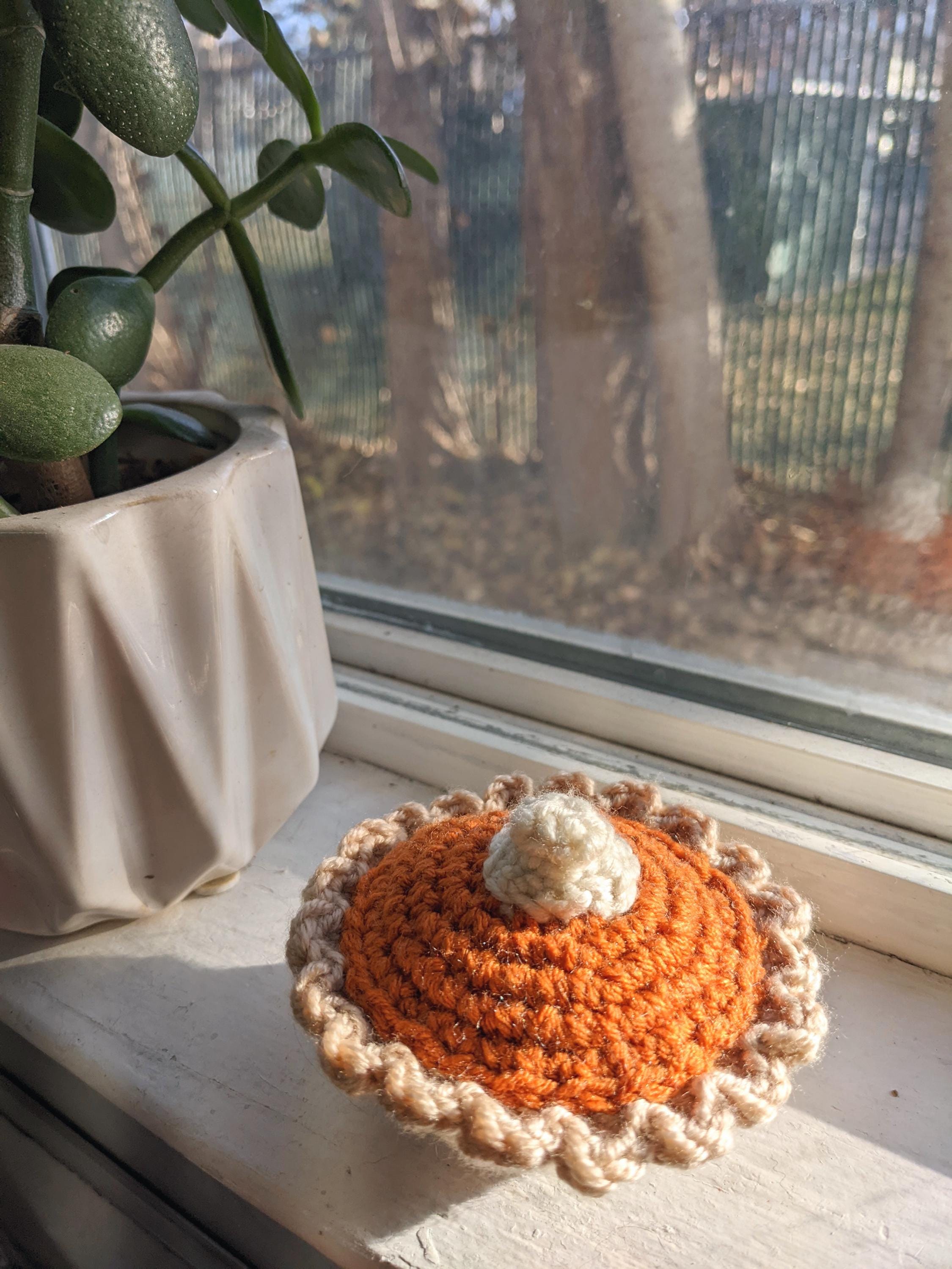 Pumpkin Pie Pin Cushion [crochet Pattern] *DIGITAL PRODUCT* - Etsy