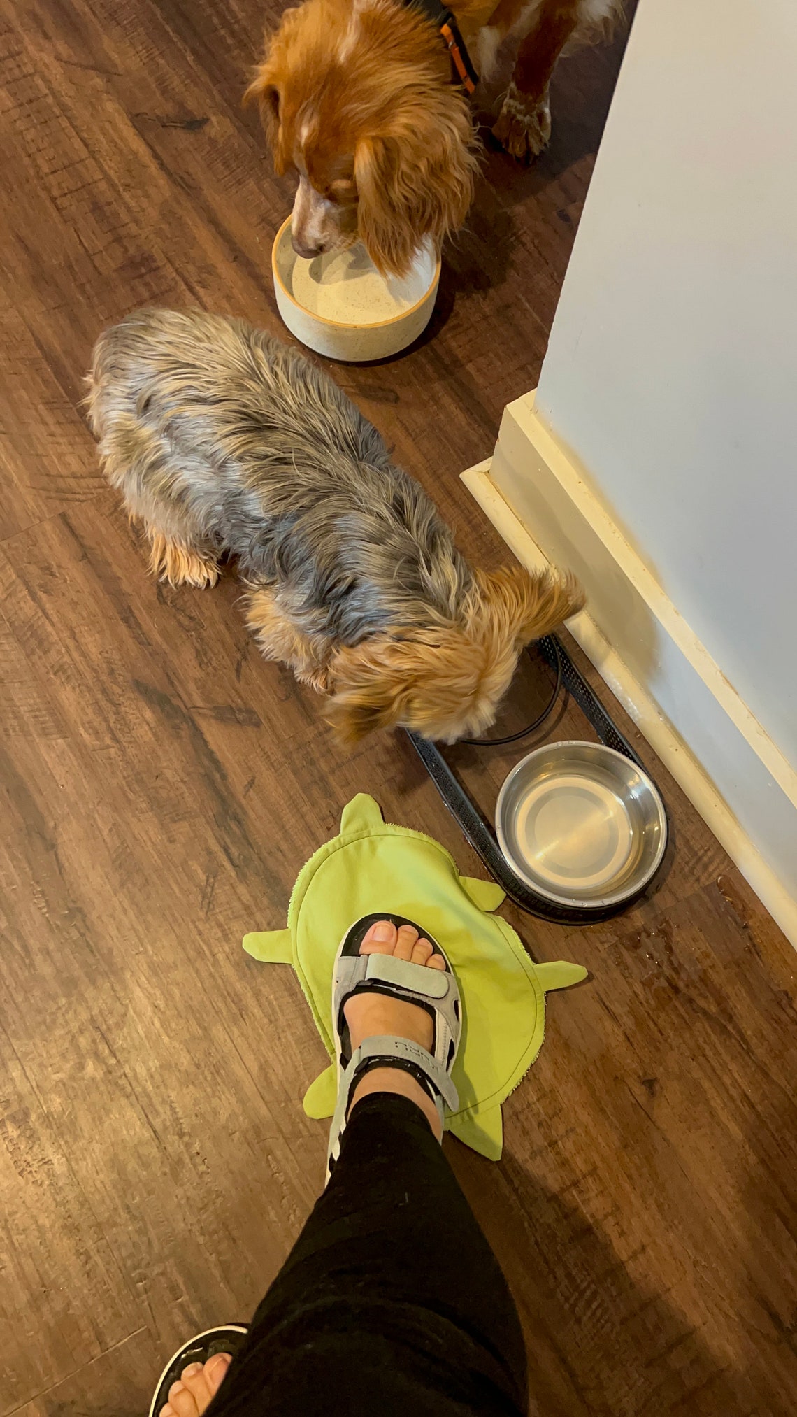 Turtle Mop Sewing Pattern, Floor Mop, PDF Format, Floor Turtle, Instant ...