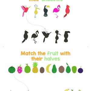 Jungle Animals Kids Activity Pack, Coloring Page Kids Jungle, Matching ...