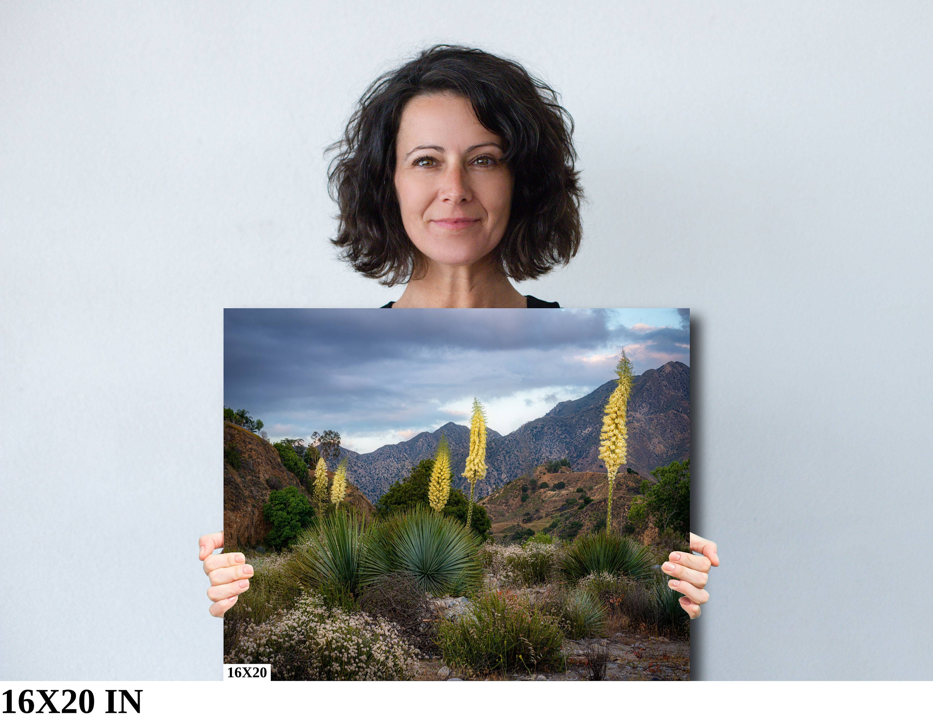 March of the Yucca Trees / Canvas Photograph / Wall Art Canvas - Etsy