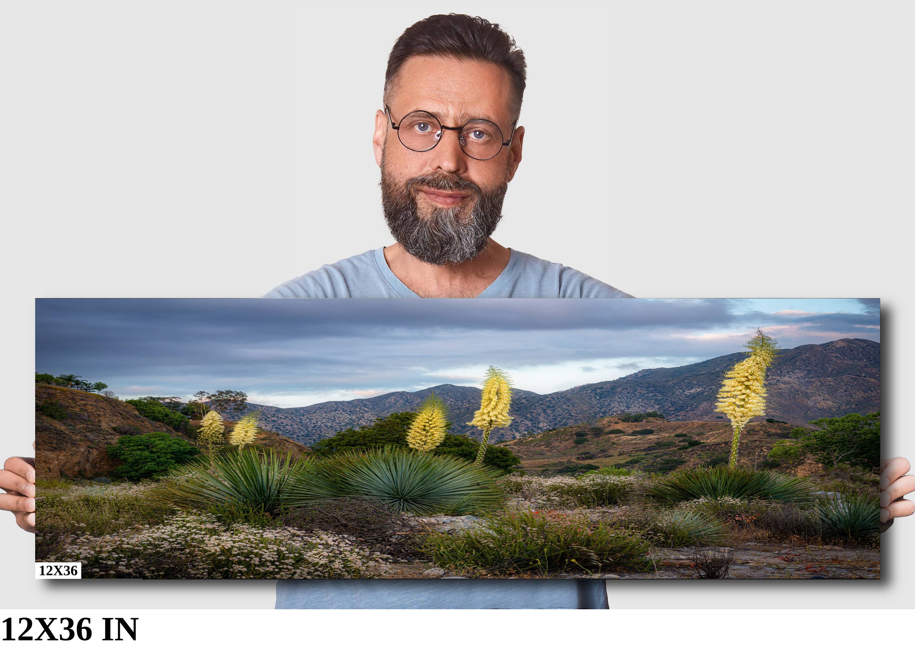 March of the Yucca Trees / Canvas Photograph / Wall Art Canvas - Etsy