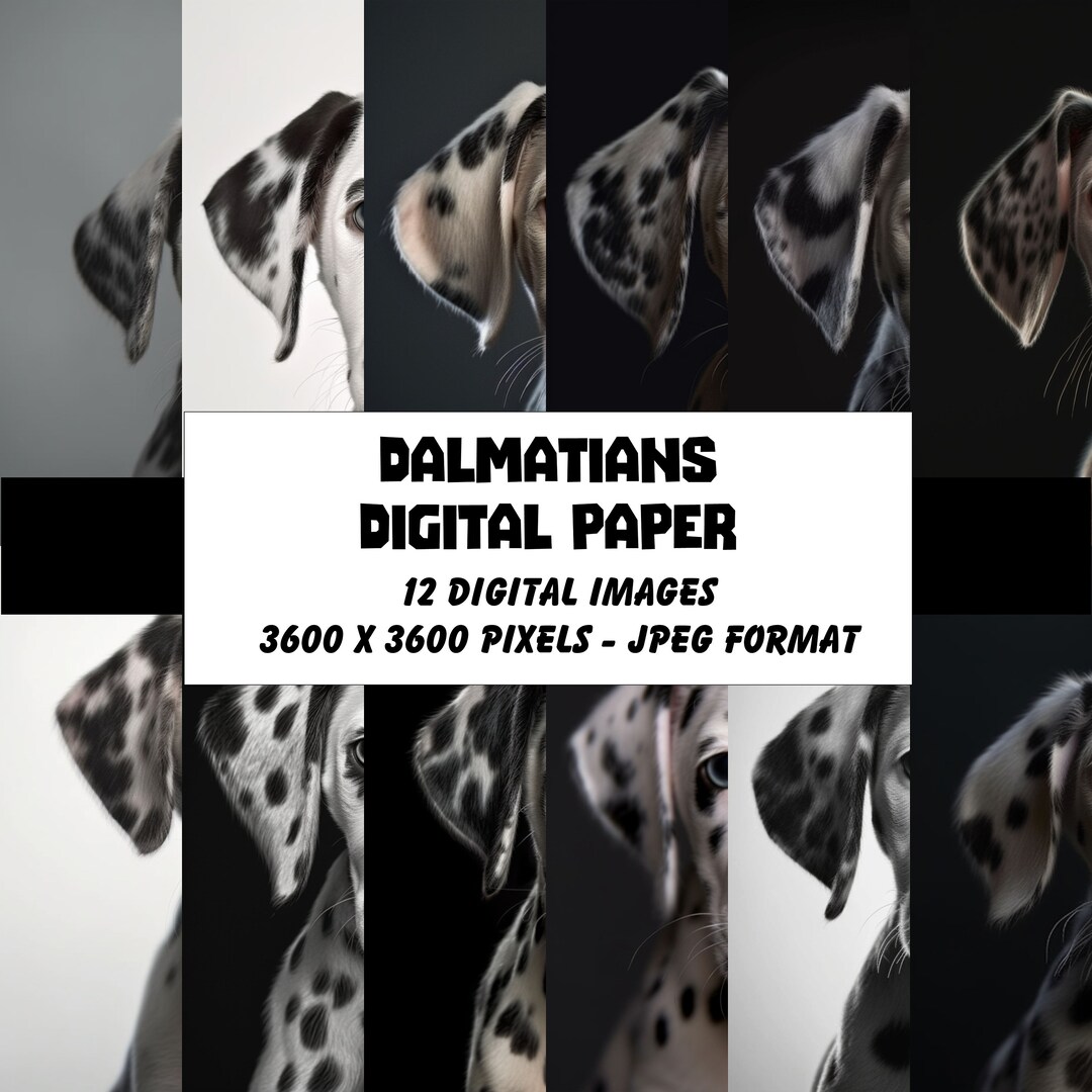 Dalmatian Puppies Digital Paper: Scrapbook & Card Making (digital ...