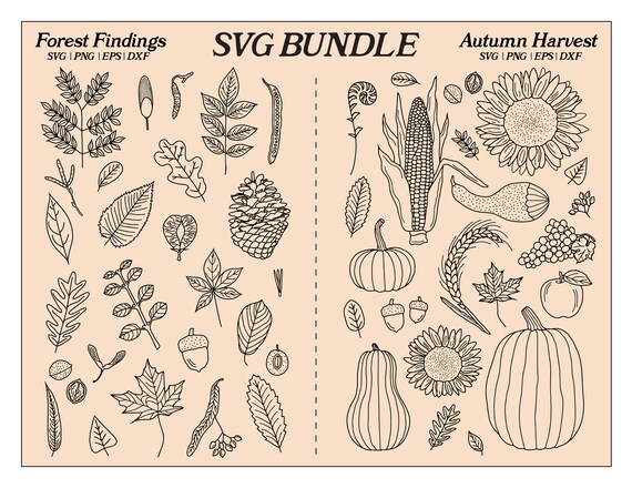 Autumn SVG Bundle Hand Drawn Leaves SVG Pumpkins SVG Cut - Etsy