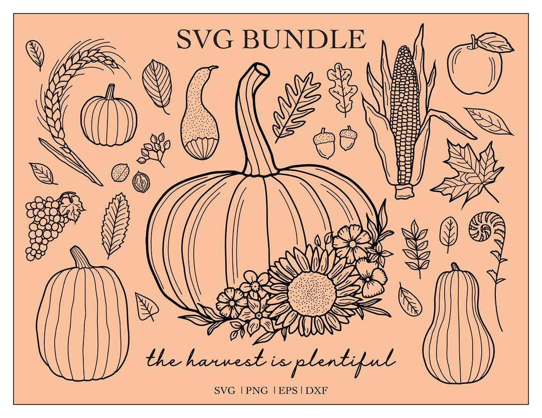 Autumn SVG Bundle | Hand Drawn Pumpkins | Floral Pumpkin SVG | Harvest ...