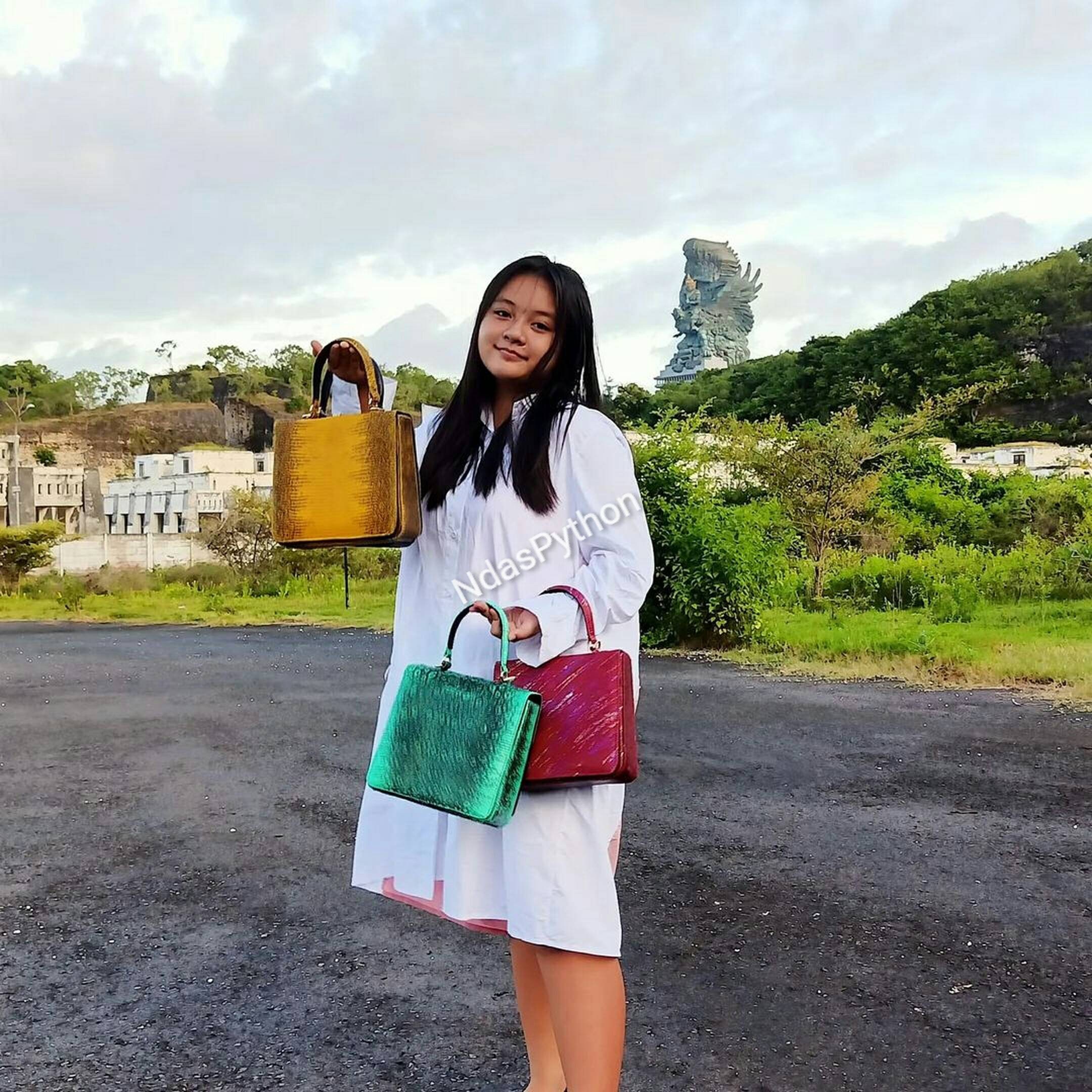 Original Indonesian Handmade,python Bag,python Handbag,python Skin ...