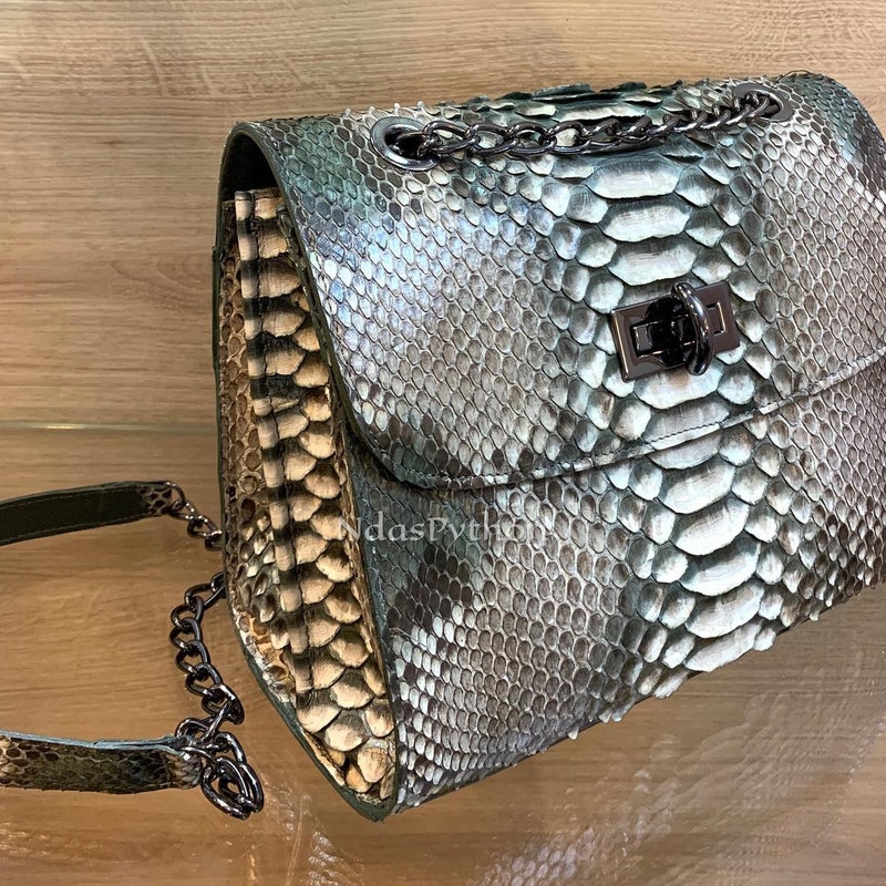 Real Snake Skin - Etsy