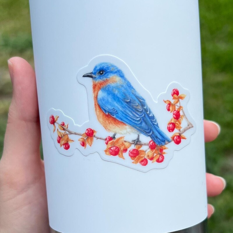 Bluebird Stickers - Etsy