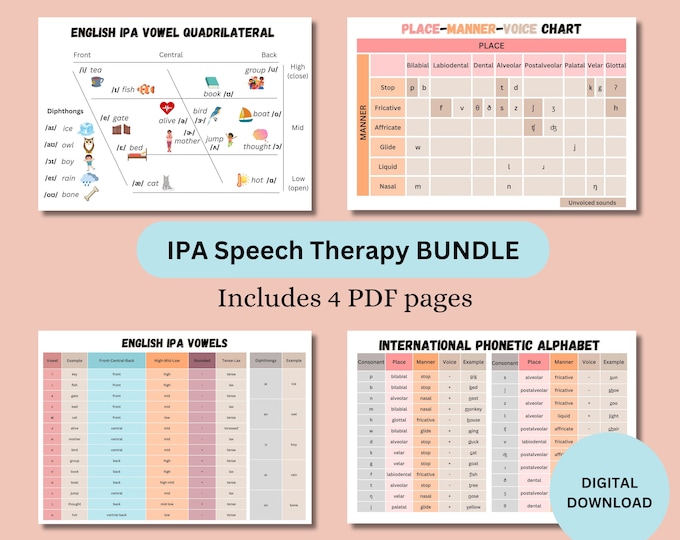 Speech Articulation Pocket Charts - Etsy