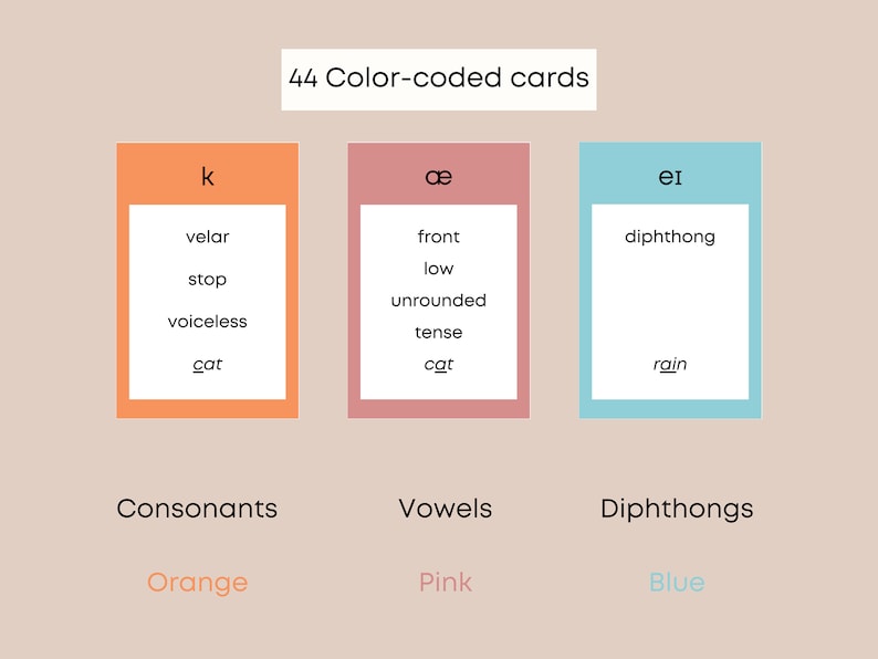 Ultimate IPA Bundle International Phonetic Alphabet Speech Therapy ...