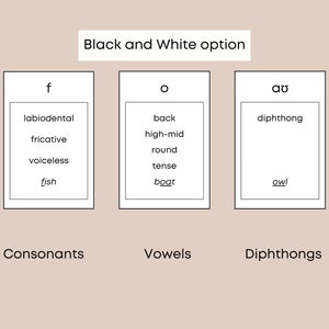Ultimate IPA Bundle | International Phonetic Alphabet Speech Therapy ...