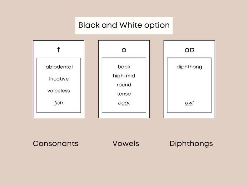 Ultimate IPA Bundle International Phonetic Alphabet Speech Therapy ...