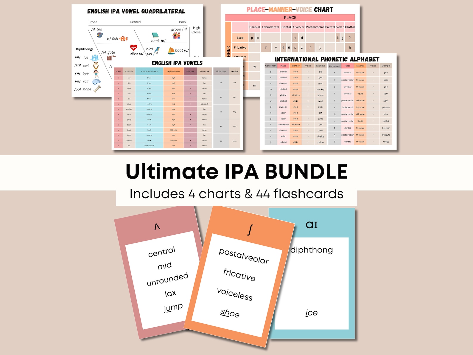 Ultimate IPA Bundle | International Phonetic Alphabet Speech Therapy ...