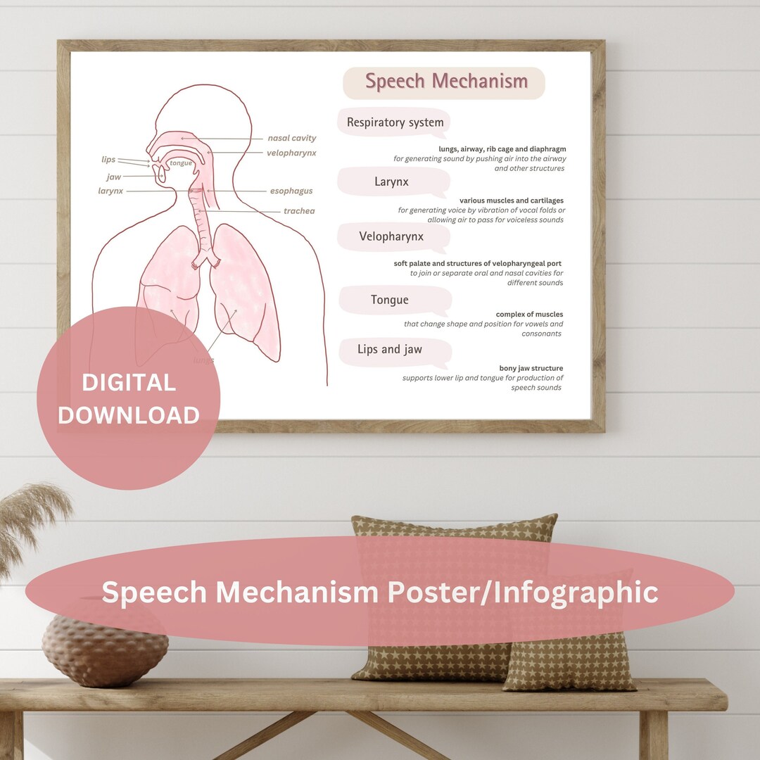 Speech Mechanism Poster & Infographic the Speech System - Etsy