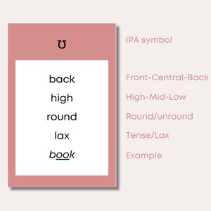 IPA Flashcards | Printable Speech Therapy Cards | Digital Study ...