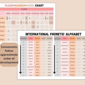 IPA Speech Therapy Bundle | Set of 4 PDF | Consonants & Vowels ...
