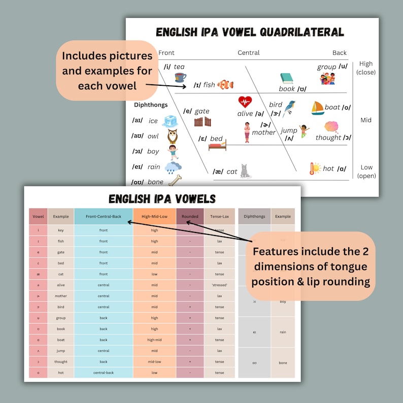 IPA Speech Therapy Bundle | Set of 4 PDF | Consonants & Vowels ...