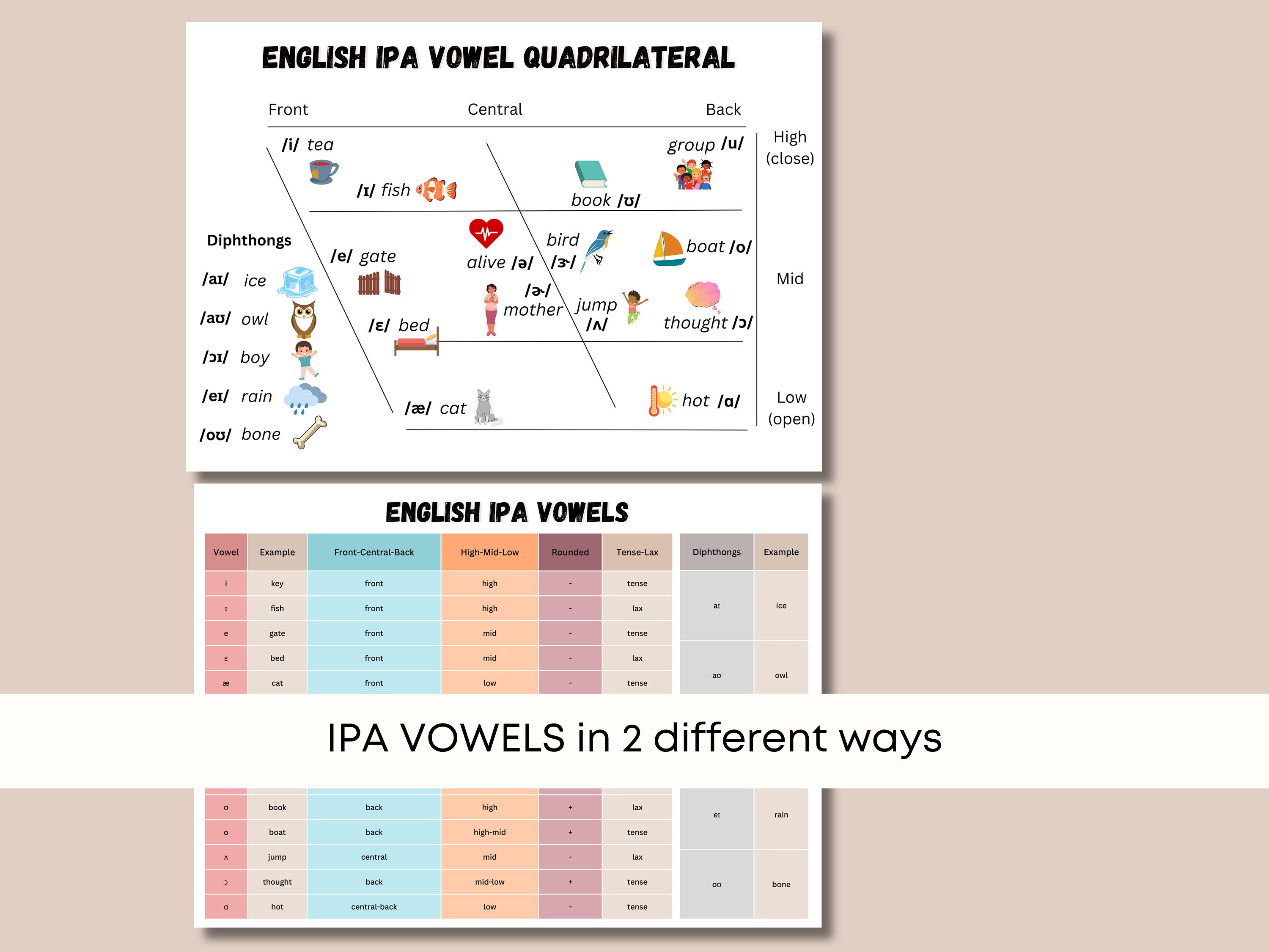 Ultimate IPA Bundle | International Phonetic Alphabet Speech Therapy Chart | Printable Consonant ...