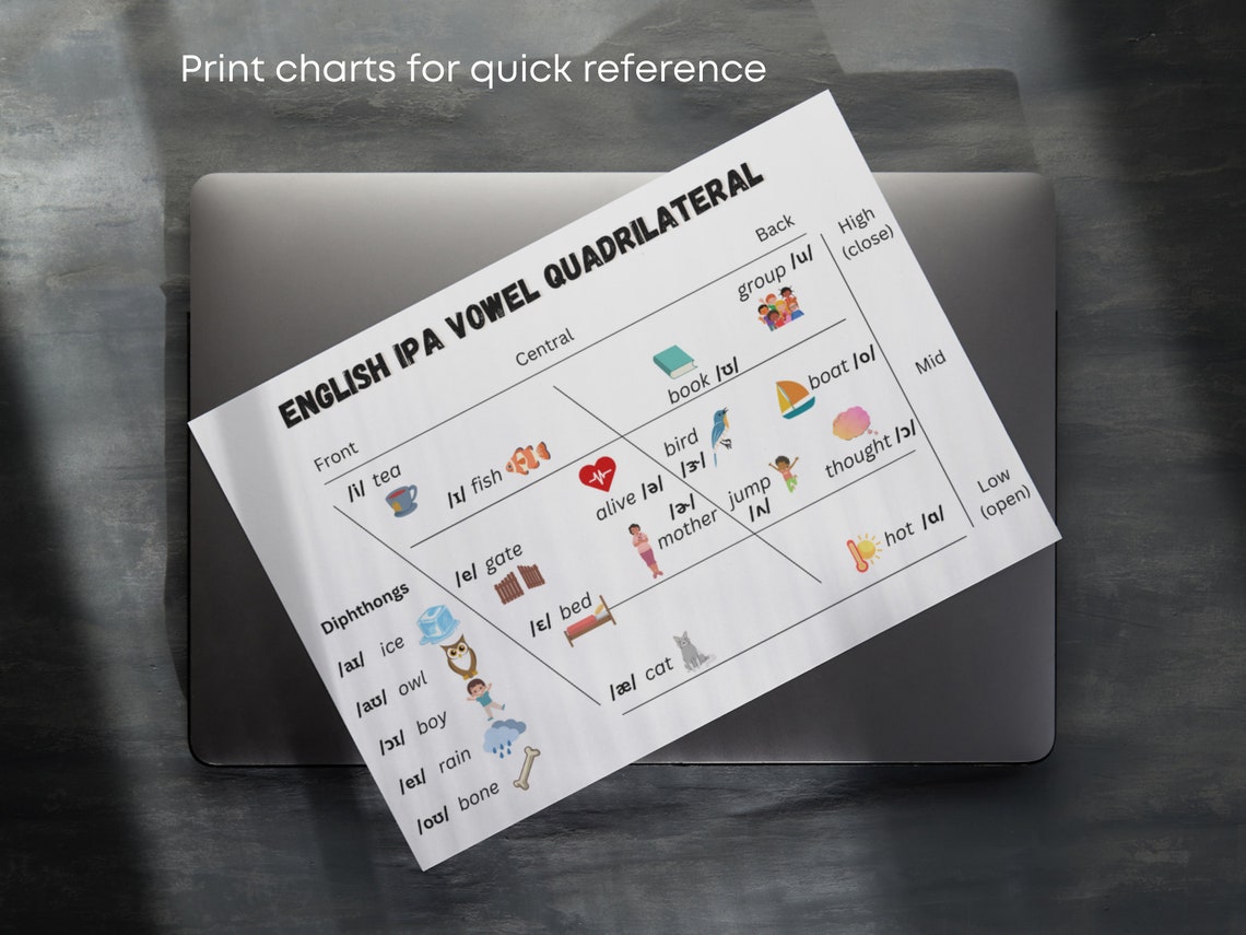 Ultimate IPA Bundle International Phonetic Alphabet Speech Therapy ...