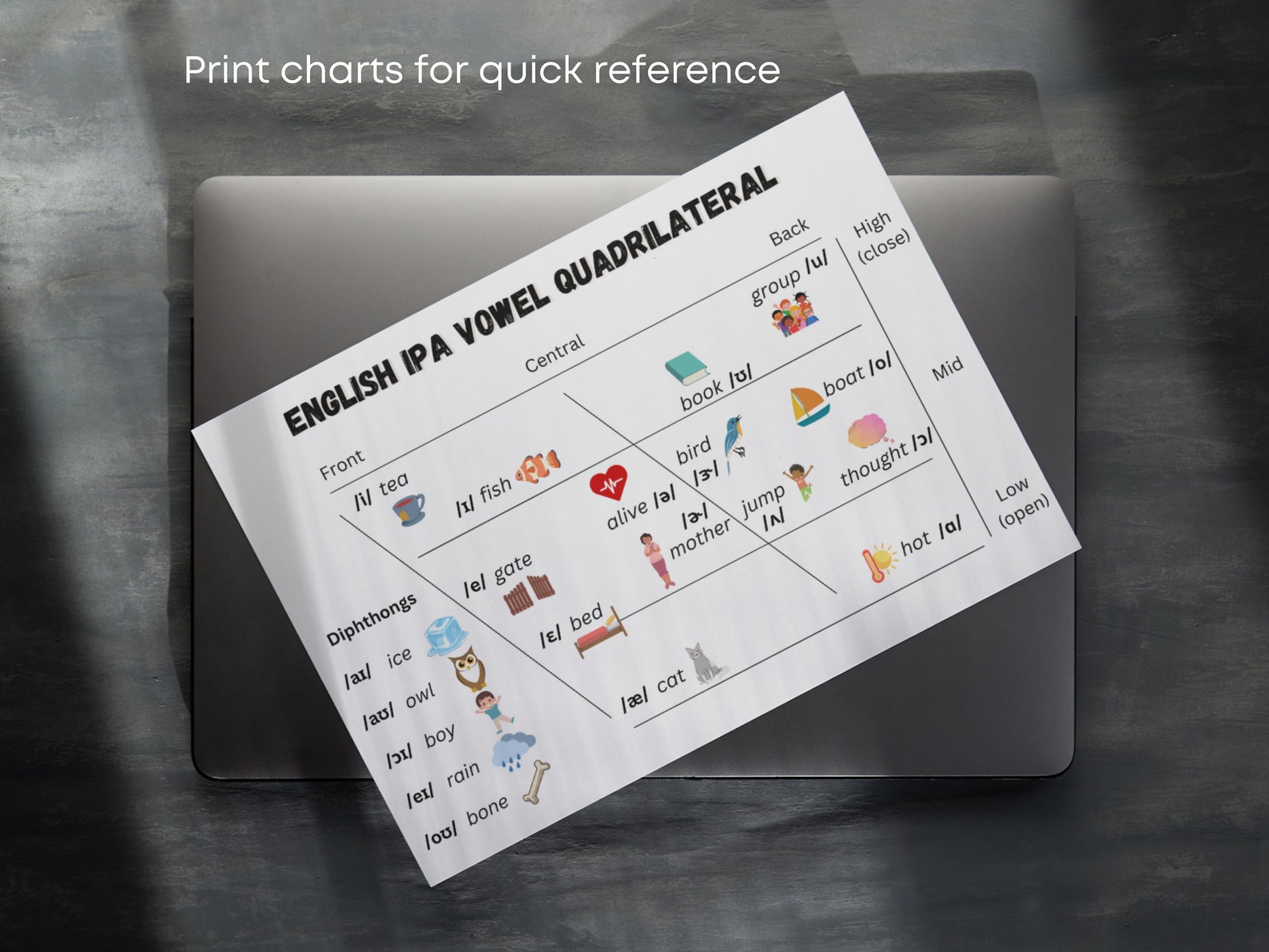 Ultimate IPA Bundle | International Phonetic Alphabet Speech Therapy ...