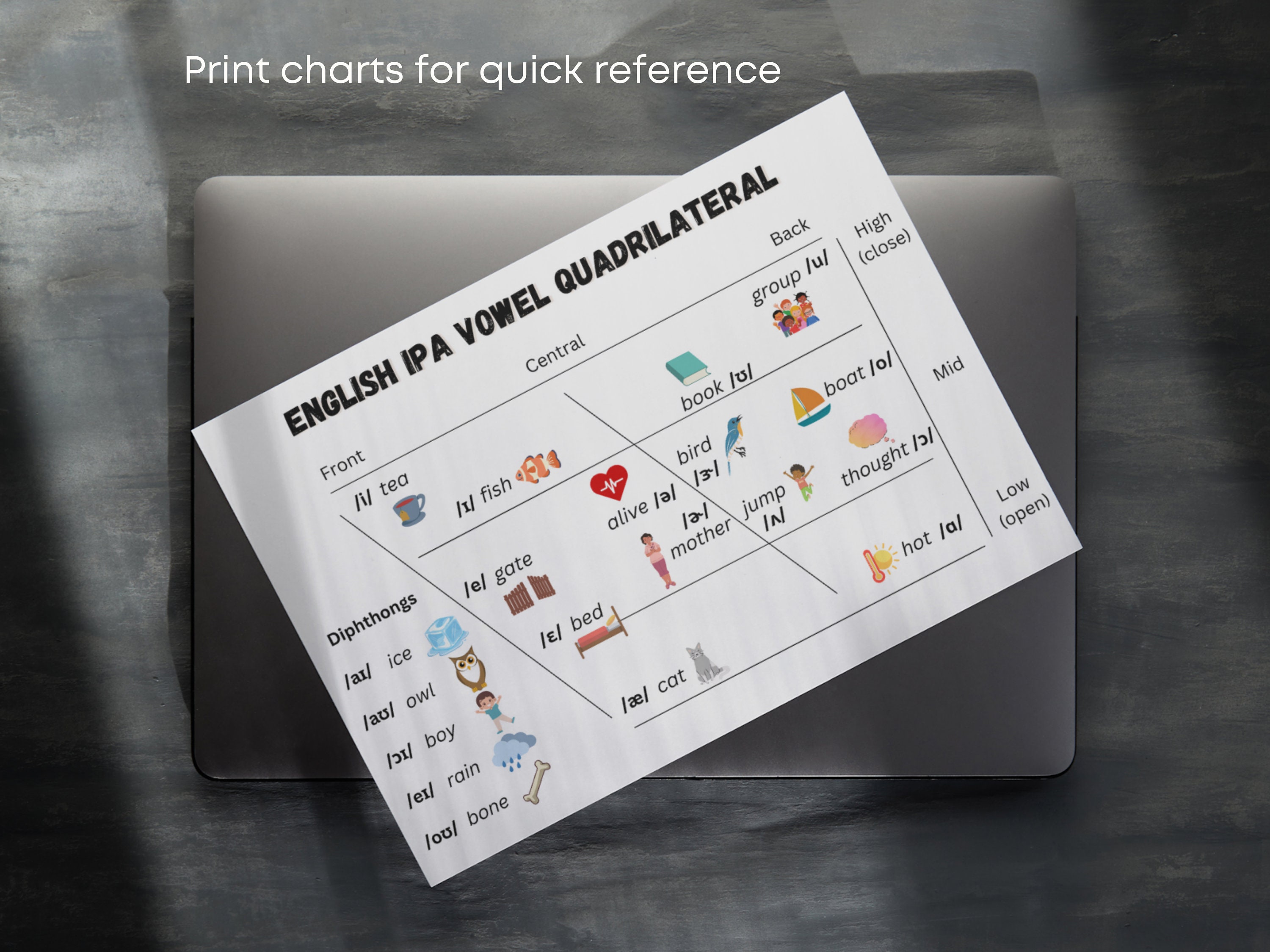 Ultimate IPA Bundle | International Phonetic Alphabet Speech Therapy ...
