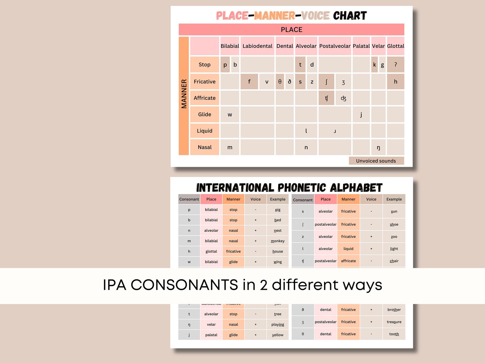Ultimate IPA Bundle | International Phonetic Alphabet Speech Therapy Chart | Printable Consonant ...