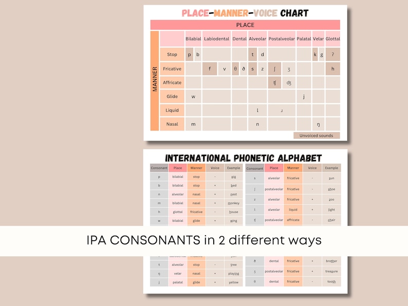 Ultimate IPA Bundle | International Phonetic Alphabet Speech Therapy ...