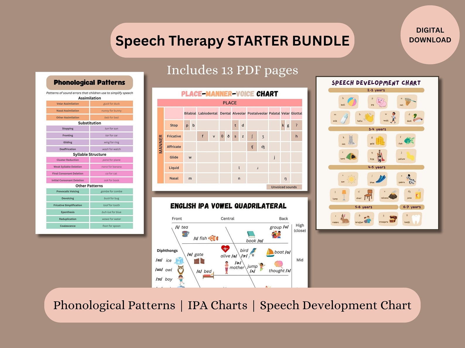 Speech Therapy Starter Bundle | Phonological Patterns, IPA Charts (PDF ...