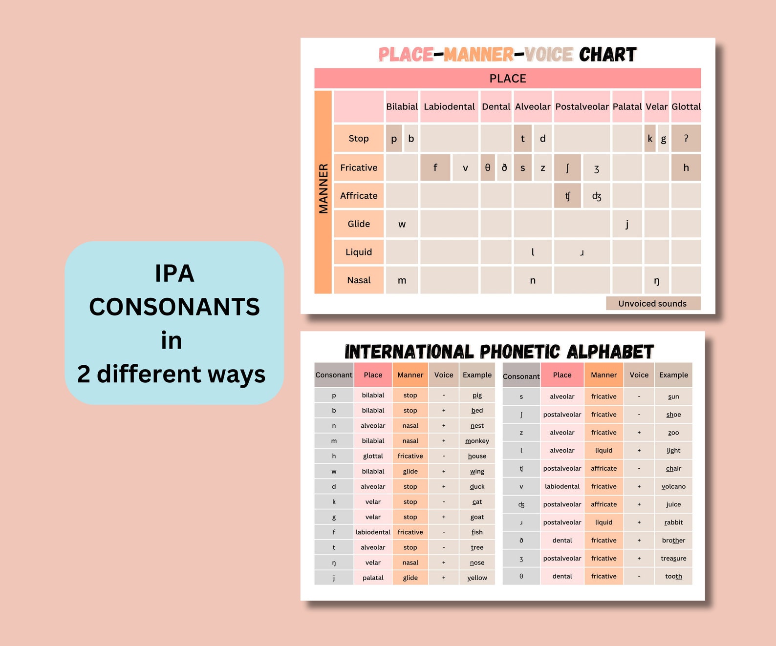 IPA Consonant & Vowel Charts | Speech Therapy Resources (PDF) - Etsy
