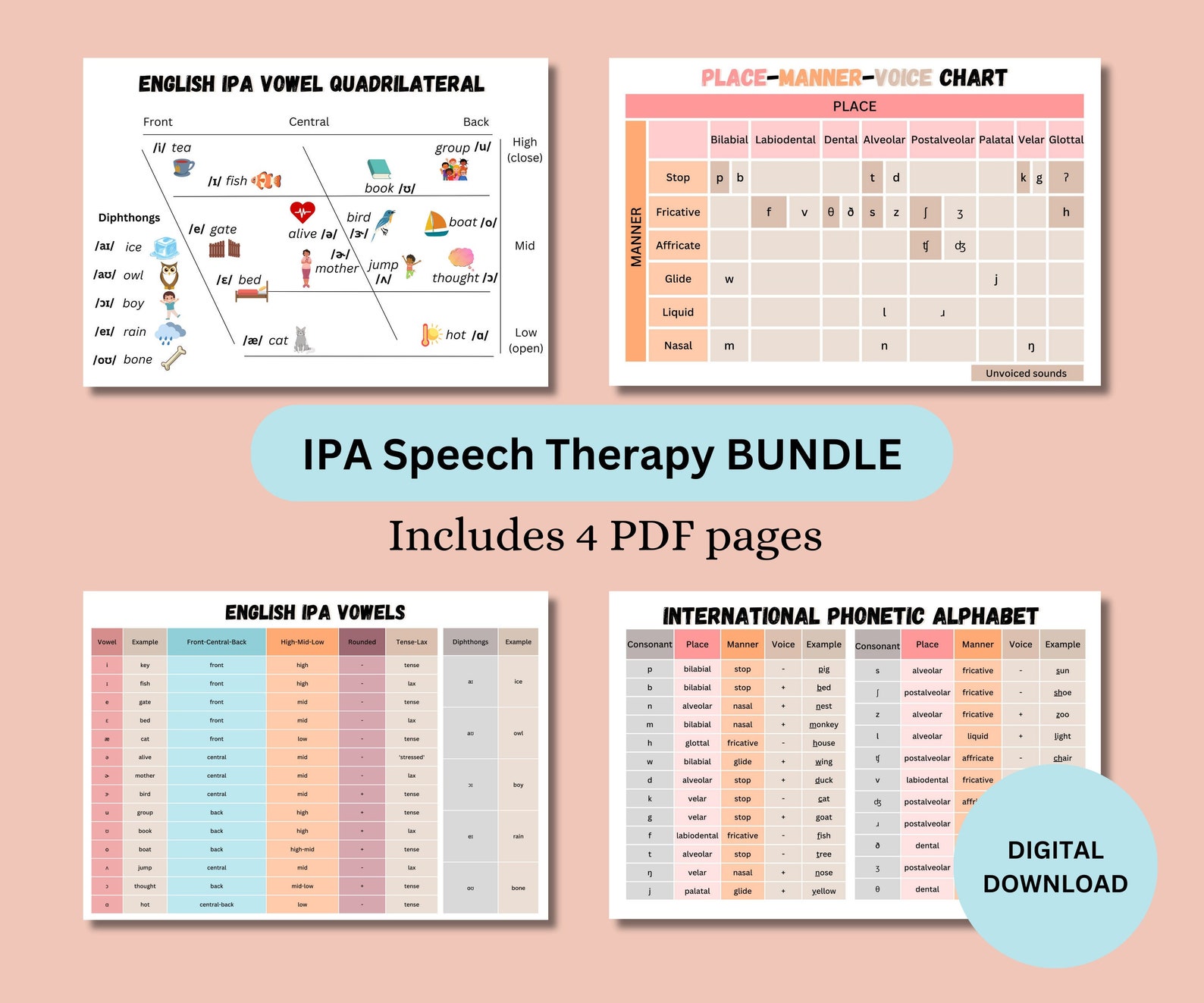IPA Speech Therapy Bundle | Set of 4 PDF | Consonants & Vowels ...