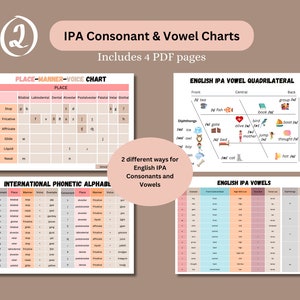 Starter Speech Therapy Bundle | Set of 13 PDF | Phonological Patterns | IPA Charts | Speech ...