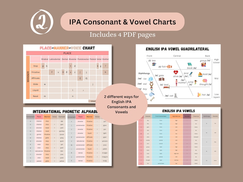 Starter Speech Therapy Bundle | Set of 13 PDF | Phonological Patterns ...