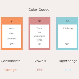 IPA Flashcards | Printable Speech Therapy Cards | Digital Study ...