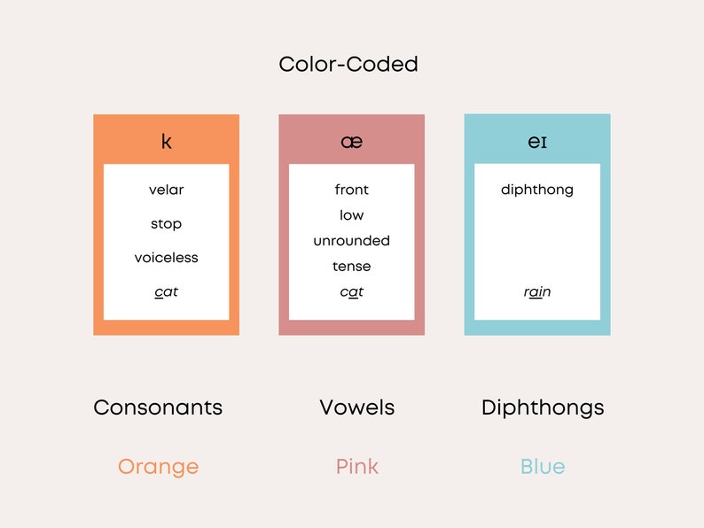 IPA Flashcards | Printable Speech Therapy Cards | Digital Study ...