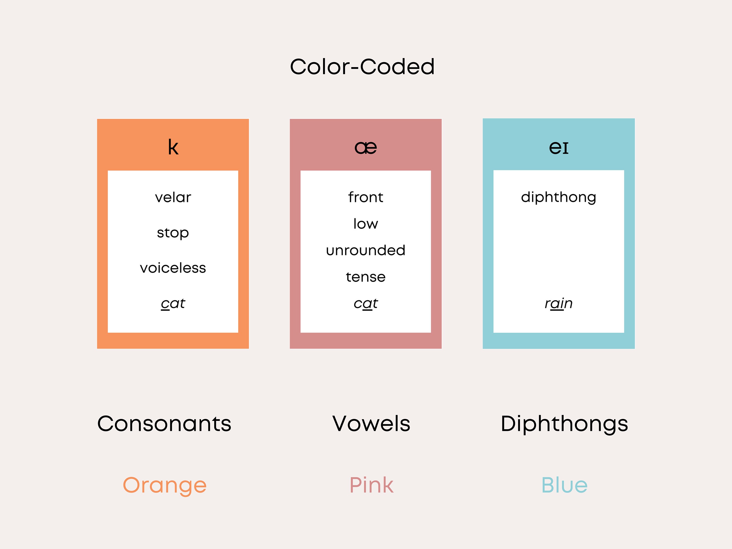 IPA Flashcards Printable Speech Therapy Cards Digital Study Material ...