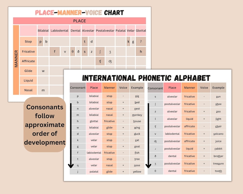 2 IPA Consonant Place-manner-voice Charts | Speech Therapy Poster ...