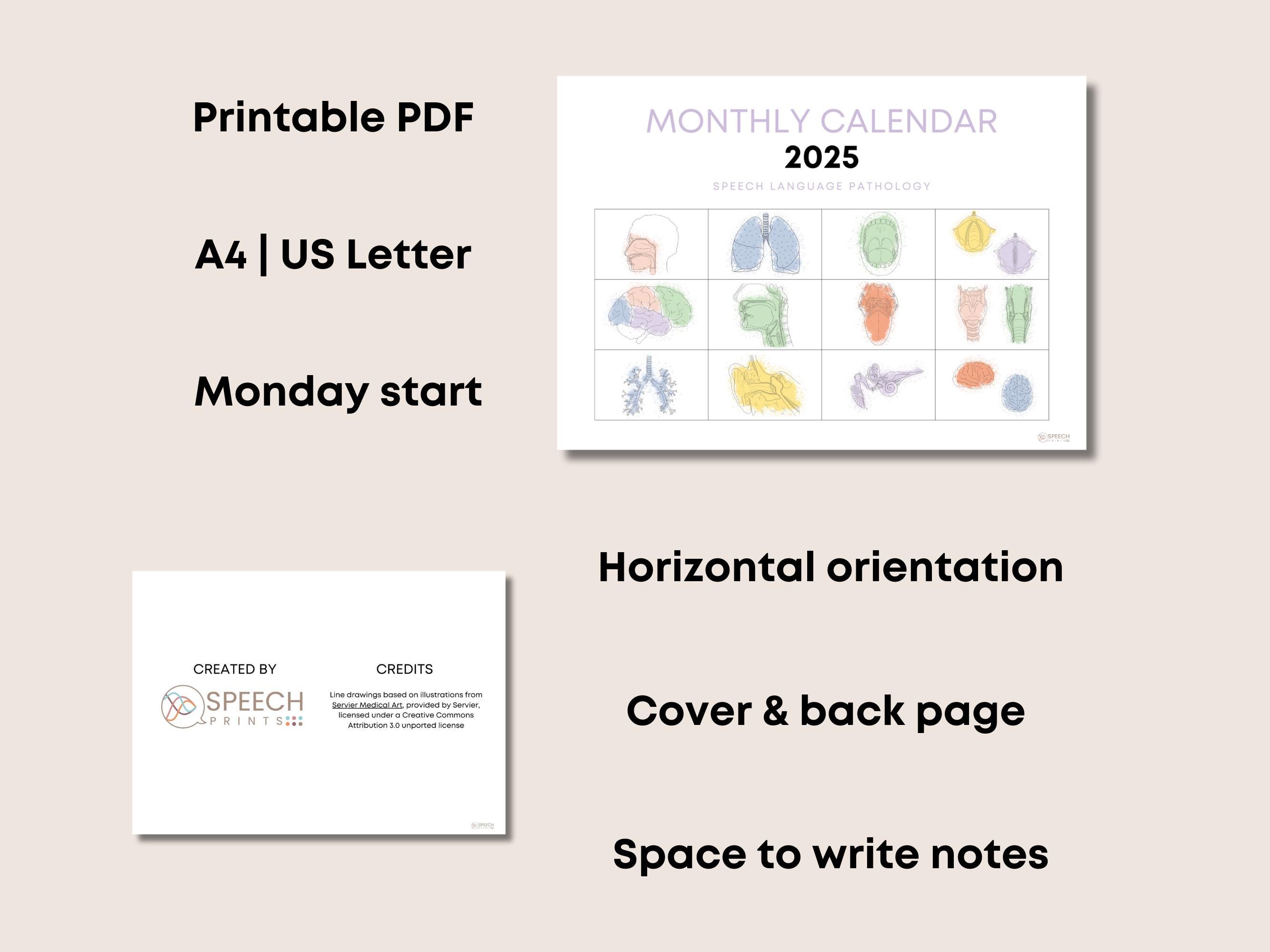 2025 Speech Therapy Calendar | Anatomy Art, SLP Gift (digital Download ...
