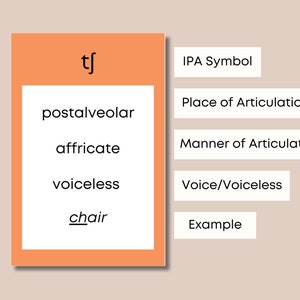 Ultimate IPA Bundle | International Phonetic Alphabet Speech Therapy ...