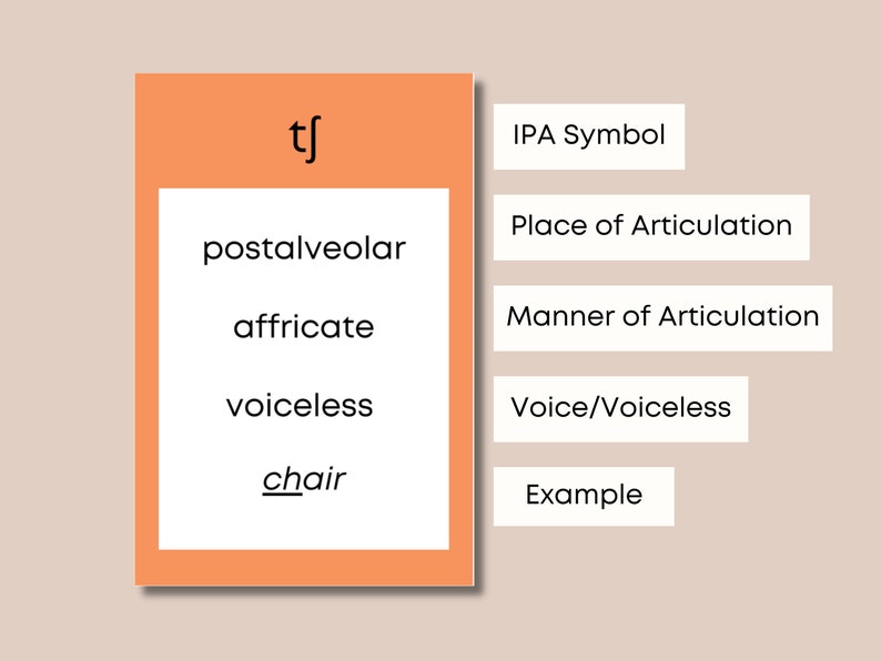 Ultimate IPA Bundle International Phonetic Alphabet Speech Therapy ...