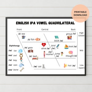 IPA Vowel Quadrilateral | American English Vowels | Speech Language Pathology | Speech Therapy ...