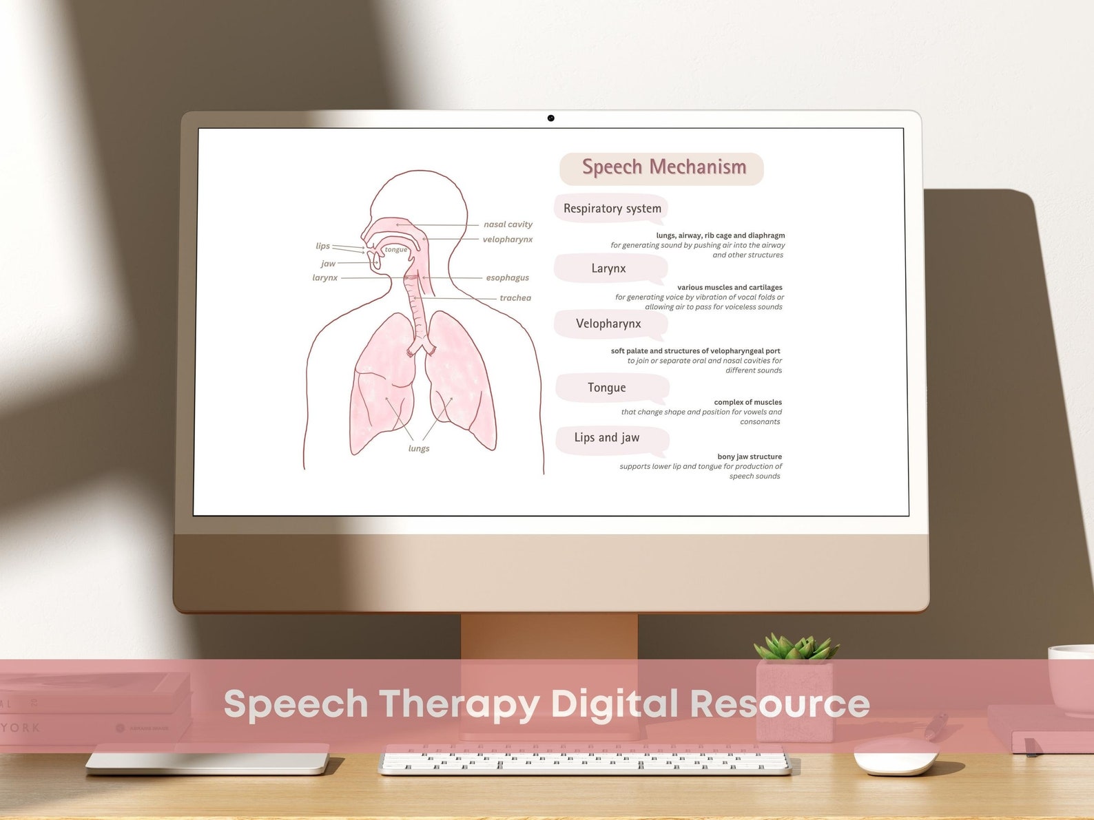 Speech Mechanism Anatomy Poster | SLP Therapy Office Decor (digital ...