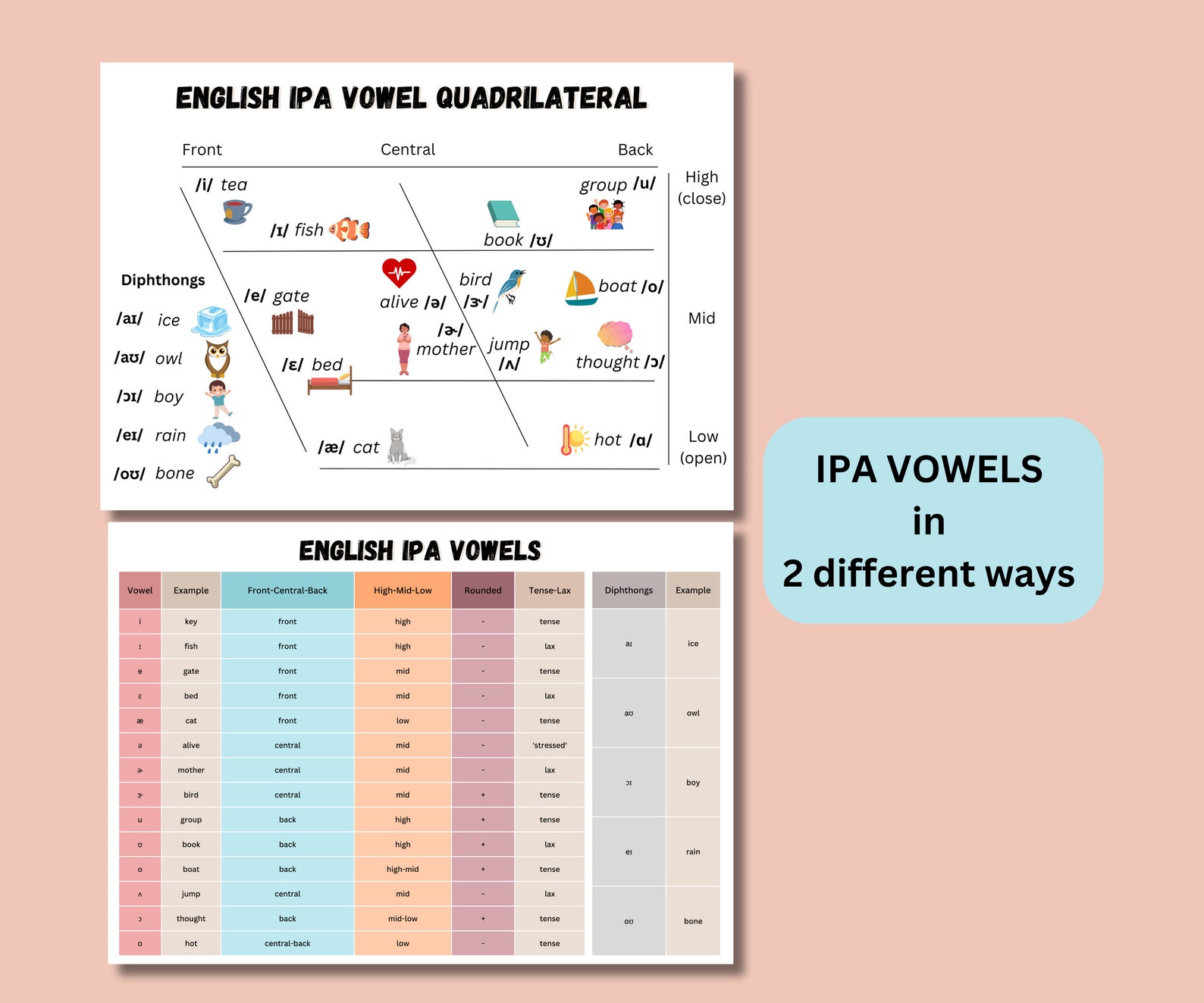 IPA Speech Therapy Bundle | Set of 4 PDF | Consonants & Vowels | International Phonetic Alphabet ...