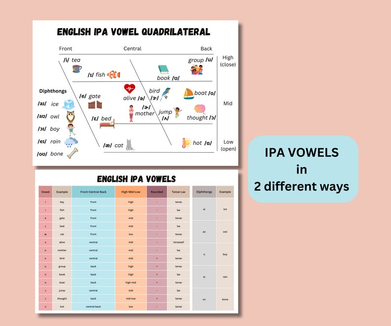 IPA Speech Therapy Bundle | Set of 4 PDF | Consonants & Vowels ...