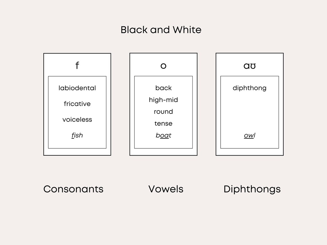 IPA Flashcards Printable Speech Therapy Cards Digital Study Material ...