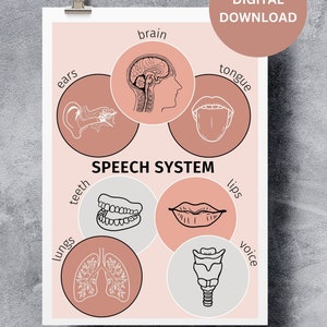 Buy Speech System Poster Visuals for Speech: Lungs Voice Online in ...